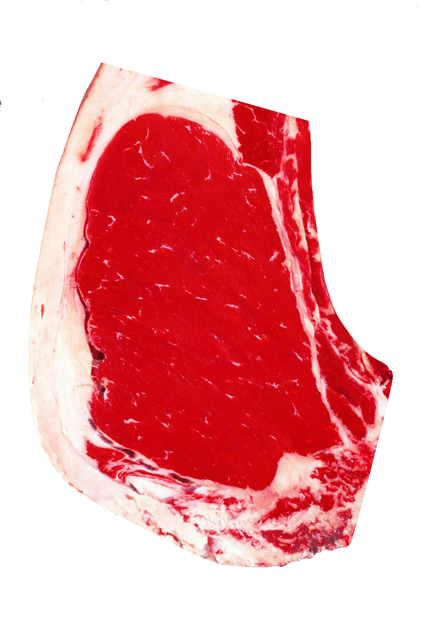 Beef Grading Shields Agricultural Marketing Service beef-grading-shields-agricultural-marketing-service